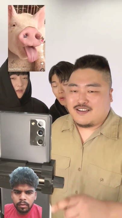 algorithm beatbox challenge beatbox tiktok youtube