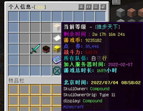 Minecraft 无限世界生存服务器