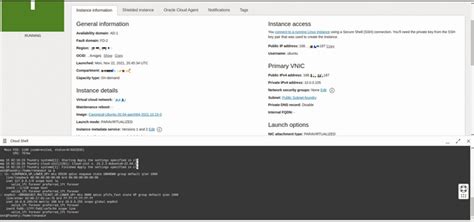 Vm Does Not Get Its Public Ip Roraclecloud