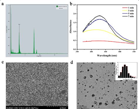 Analysis Of The Characteristics Of Biosynthesized Agnps A Typical