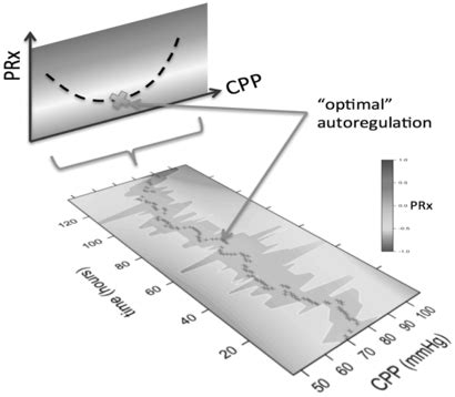 CPPopt Landscape
