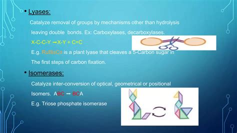 Enzyme Pptpptx