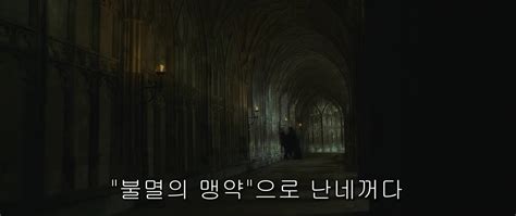 해리포터와 게이들 자막만든 놈 나와ㅋㅋㅋ 인스티즈 Instiz 이슈 카테고리