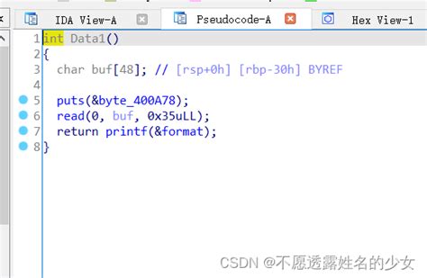PolarD N CTFChoice CSDN博客