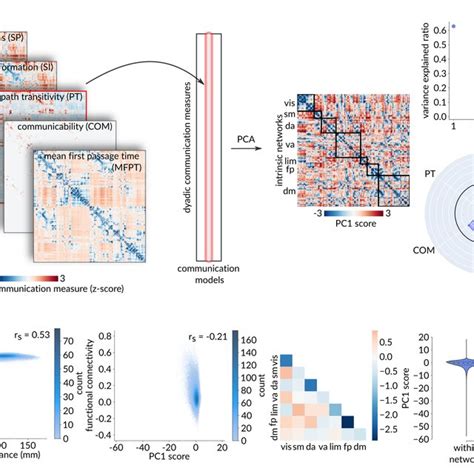 Extending To Multiple Communication Models Dyad Level A
