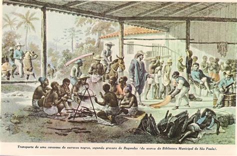 Descubre La Heráldica De Kerewan Significados De Los Escudos De Armas