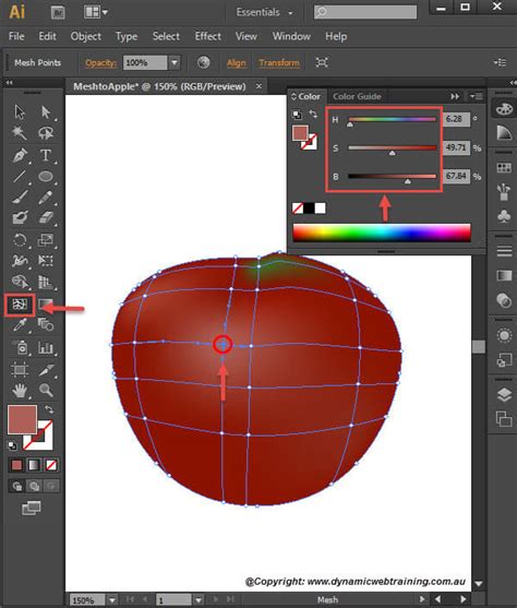Using The Mesh Tool In Illustrator Dynamic Web Training
