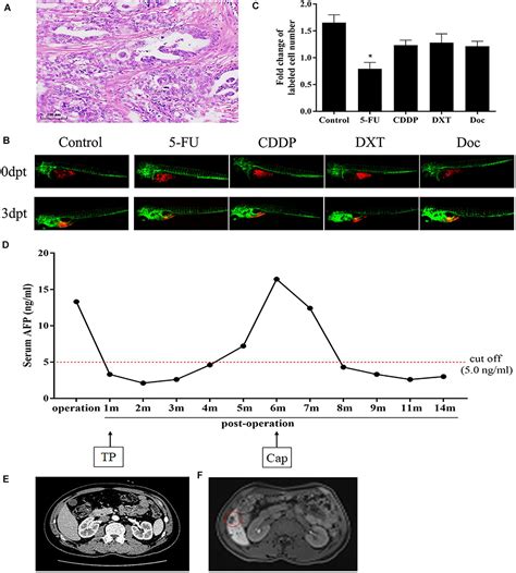 Frontiers Prediction Of Sensitivity And Efficacy Of Clinical