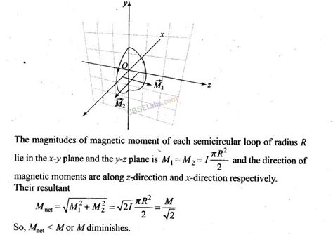 NCERT Exemplar Class 12 Physics Chapter 4 Moving Charges And Magnetism