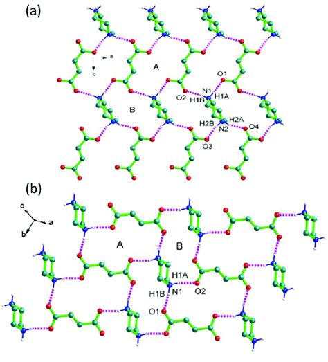 2d Supramolecular Layer Of A 2a And B 2b With Atom Labeling Of