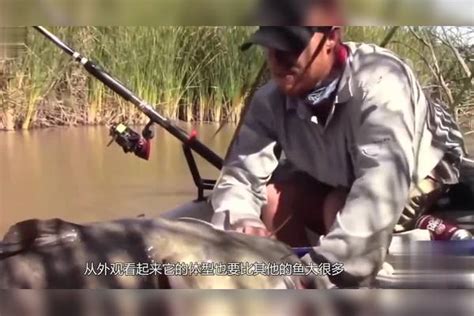 水塘中传来怪异叫声，男子用镜头拉近一看，瞬间被吓到了叫声镜头男子