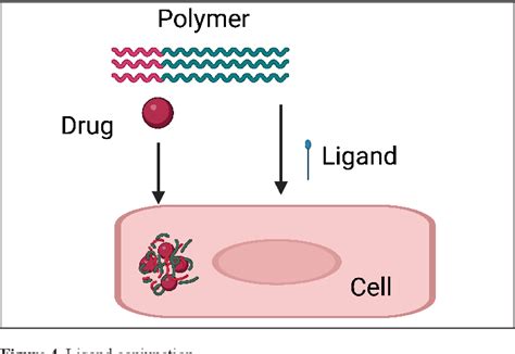 Figure 1 From Polymer Based Nanoparticles In Targeted Cancer Therapy A