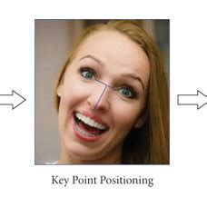 AU Feature Extraction Of Face Download Scientific Diagram