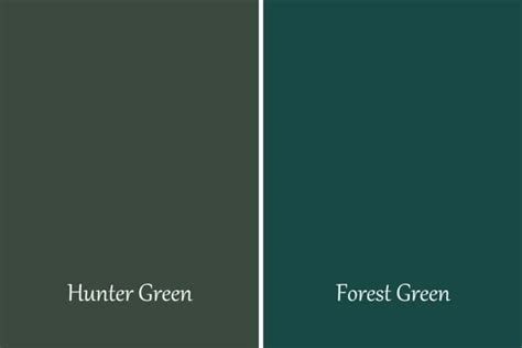 The Difference Between Hunter Green Vs Forest Green