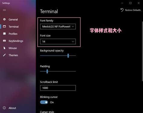 C调用powershell告别 Windows 终端的难看难用，从改造 Powershell 的外观开始 Csdn博客