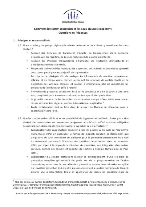 qanda ways of working cluster and sub cluster global protection cluster