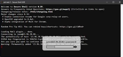How To Set Up The SSH Chrome Extension