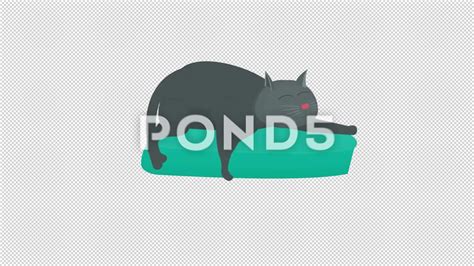 Sleeping Cat Animation