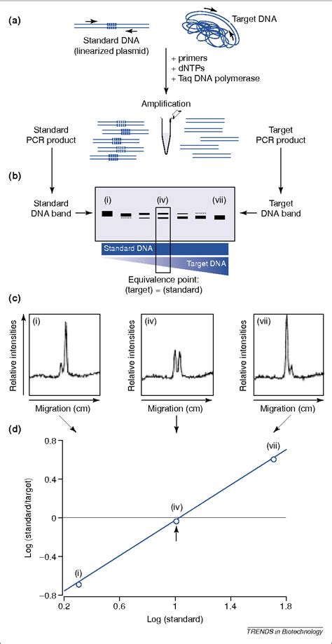 Figure 1 From Detection Of Genetically Modified Organisms In Foods Semantic Scholar