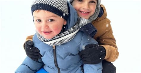 Linter Bedekt Onder Laagje Sneeuw Linter Hlnbe