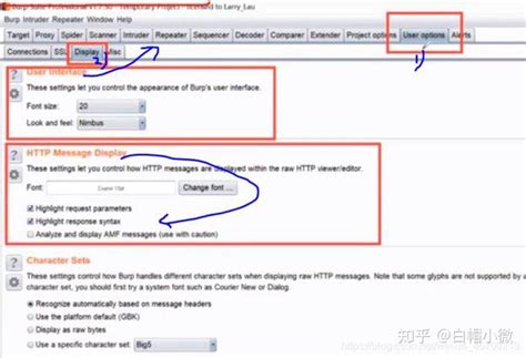 burpsuite工具的使用详细讲解 知乎