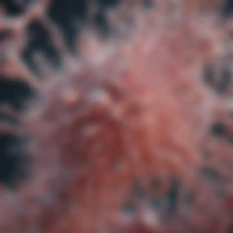 Understanding Casein Micelles Structure And Impact