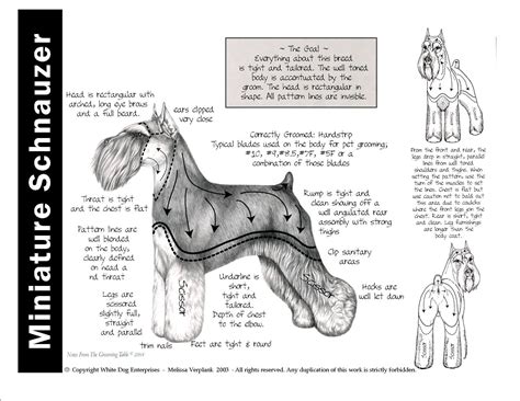 Schnauzer Grooming Pattern Pattern Tips Archive
