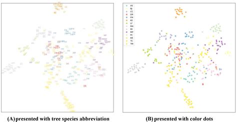 Two Dimensional T Distributed Stochastic Neighbor Embedding T Sne Download Scientific Diagram