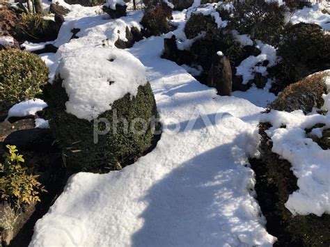 庭に積もった雪 No 28980207｜写真素材なら「写真ac」無料（フリー）ダウンロードok