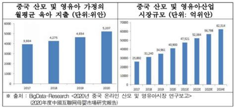 심층분석 세 자녀 정책으로 선회한 中 영유아 산업 성장에 국내 기업도 기회 맞아