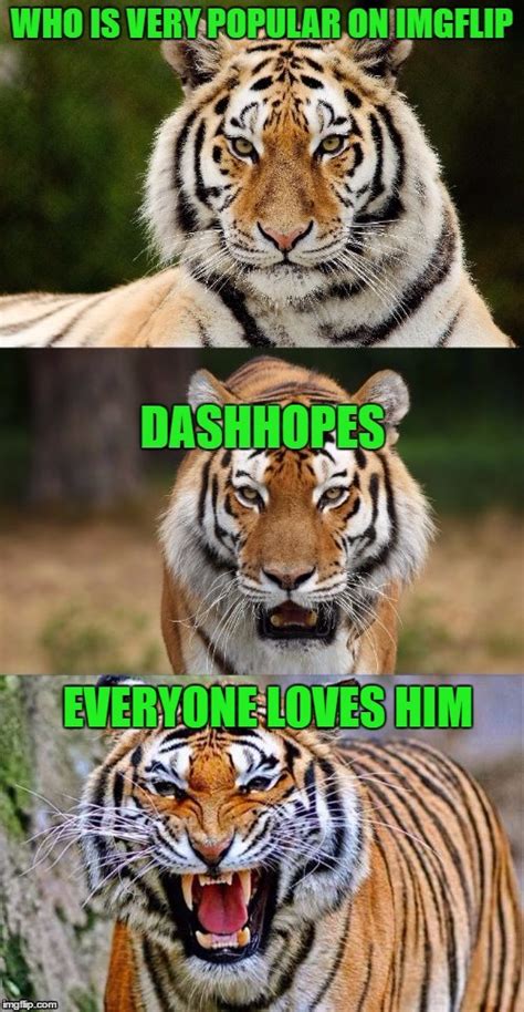 Tiger Puns Imgflip