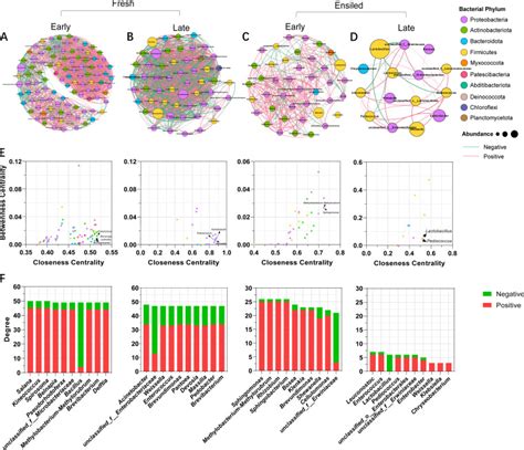 Dynamics Of Phyllosphere Microbiota And Chemical Parameters At Various