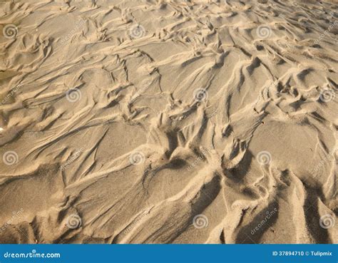Sand Pattern Royalty Free Stock Image 43946074