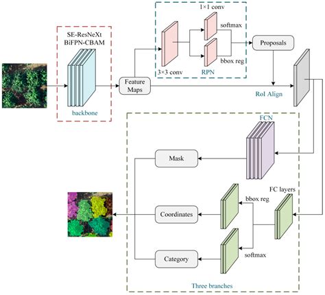 Tcsnet A New Individual Tree Crown Segmentation Network From Unmanned