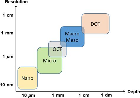 Spatial Frequency Domain Imaging In Principles Applications And Perspectives