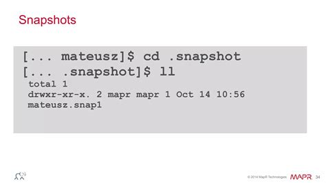 Real World Machine Learning Leverage The Features Of Mapr Converged Data Platform Ppt