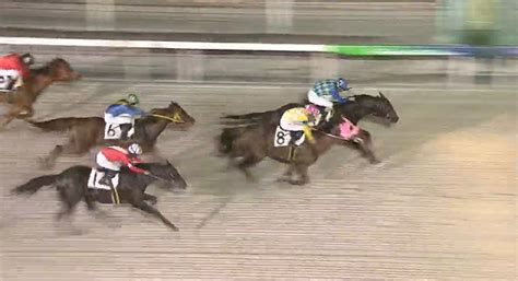 ローウェル 閃光スプリント勝利 毎日が一口馬主！