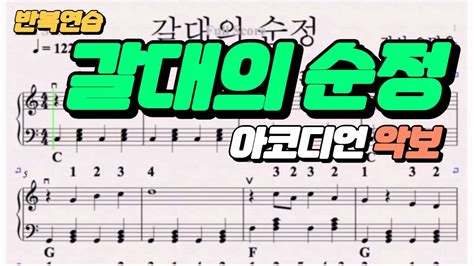 갈대의 순정 아코디언 악보영상 Accordion Sheet Music Youtube
