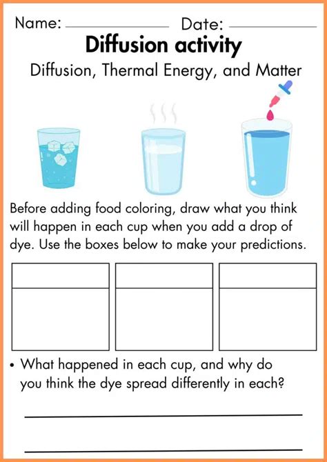 Diffusion Activity Worksheet