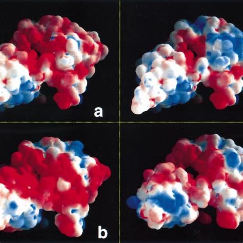 A Grasp Representations Of The Distribution Of Electrostatic Surfaces