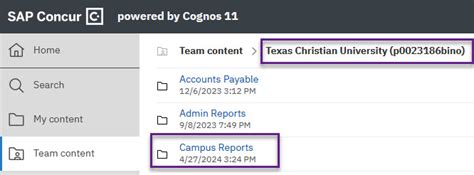 Concur Intelligence Reporting