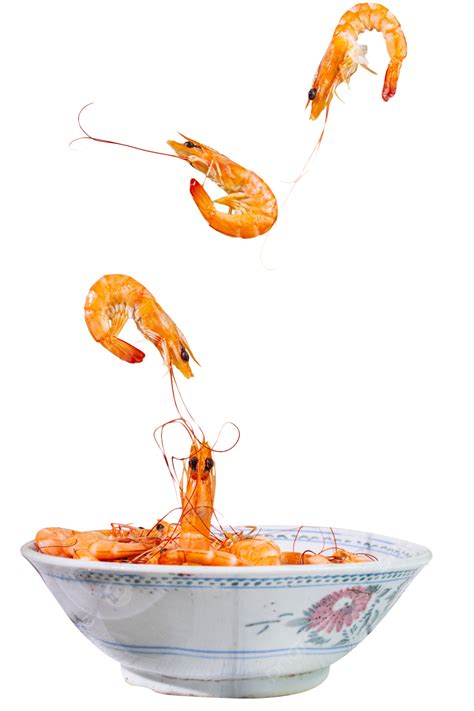 해산물 새우 요리 해물 대하 음식 Png 일러스트 및 이미지 에 대한 무료 다운로드 Pngtree
