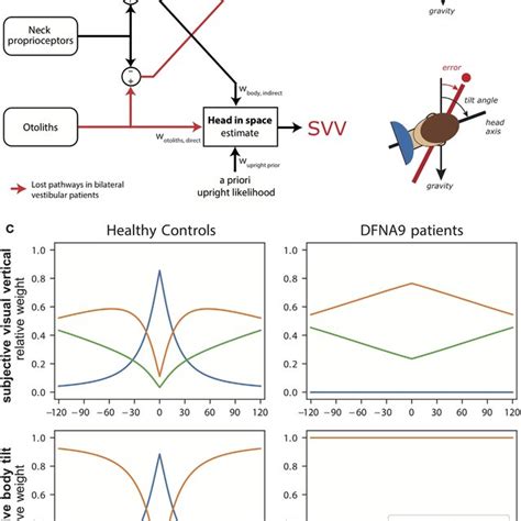 A Schematic Of The Bayesian Optimal Integration Model By Clemens Et Download Scientific