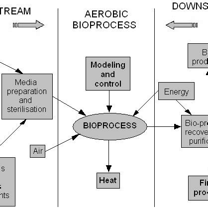 Bioprocess Flow Chart A Visual Reference Of Charts Chart Master