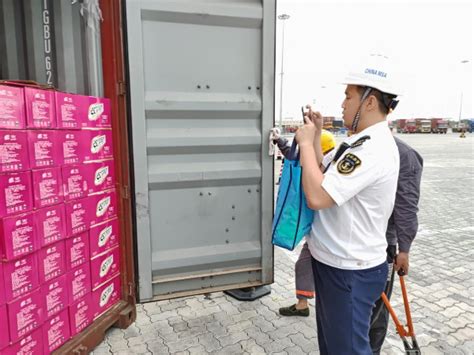 南沙海事处在南沙港四期全自动化码头进行开箱检查广州市南沙区人民政府门户网站
