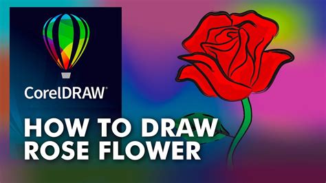 COREL DRAW Drawing Rose Flower How To Draw YouTube