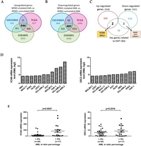 Identification Of The Emt Related Genes In Npm1 Mutated Aml A Venn