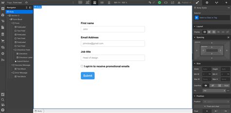Custom Fields In Webflow Forms Audienceful
