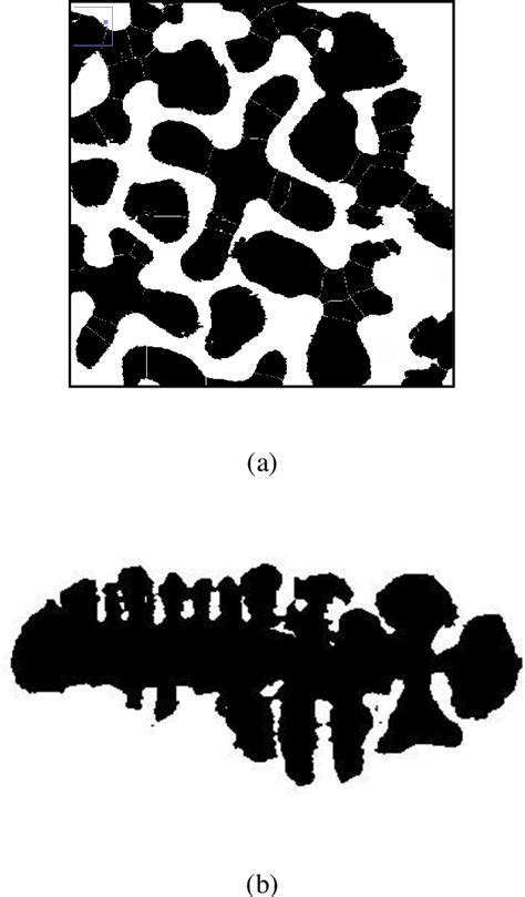 Figure 1 From Influence Of Natural Convection During Dendritic Array