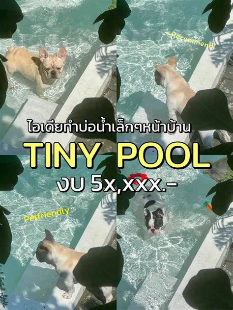 ไอเดียทำบ่อน้ำเล็กๆ งบ 5x Xxx 🐳 แกลเลอรีที่โพสต์โดย Nisa Lemon8